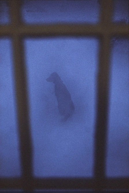 100 Words: Jeff Jacobson On Kodachrome And Cancer : The Picture Show : NPR