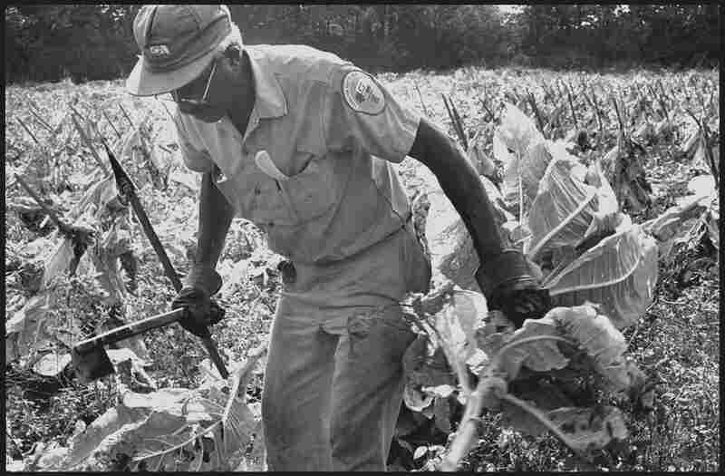 Kentucky's African-American Hamlets: A Photographer's 'Homeplace' : The ...