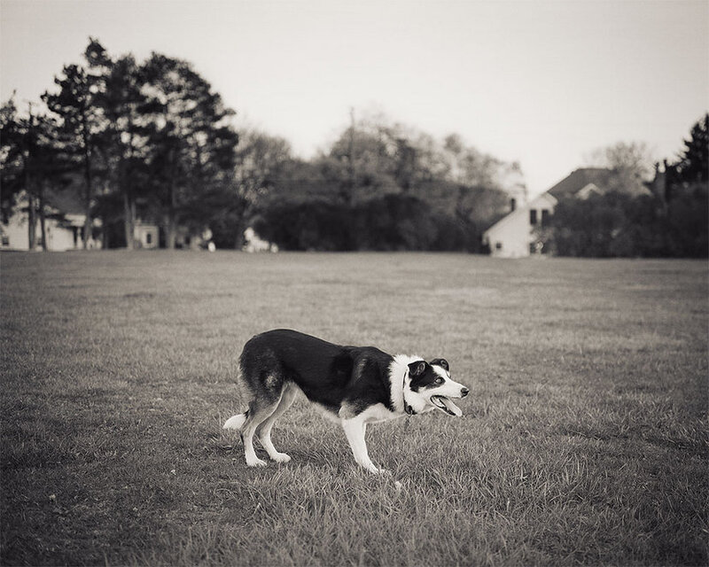 100 Words: Colin Blakely On Photographing The Familiar : The Picture ...