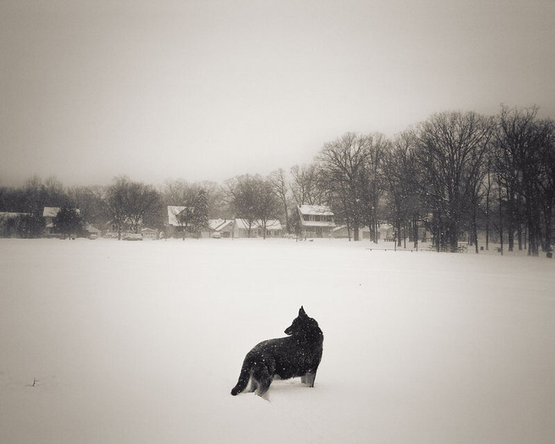 100 Words: Colin Blakely On Photographing The Familiar : The Picture ...