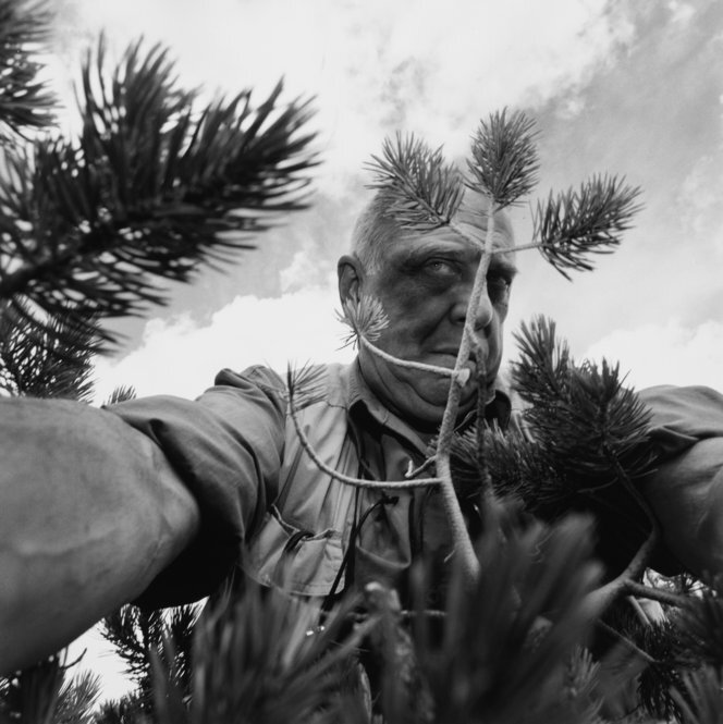 Lee Friedlander Goes To Yale : The Picture Show : NPR