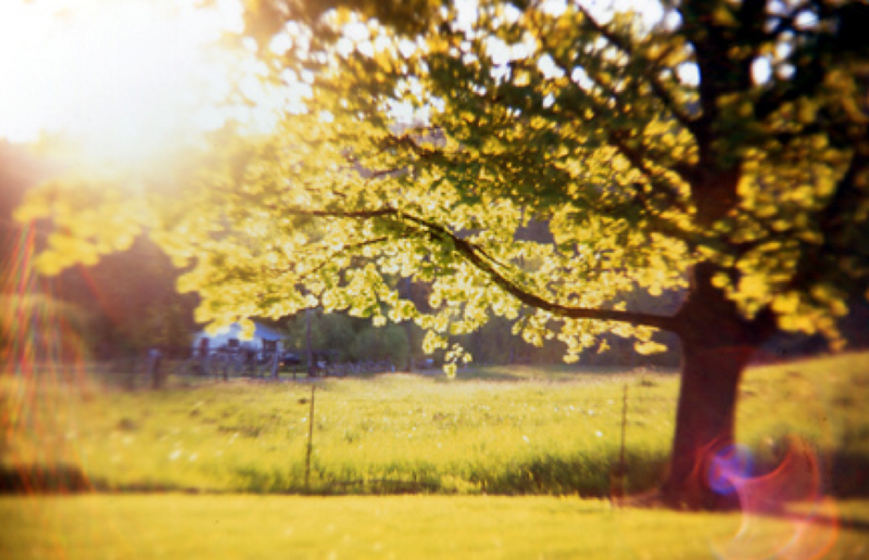 Lately On Our Flickr Feed: Lens Flare : The Picture Show : NPR