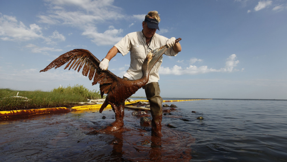 The Friday Podcast: Tallying Up The Pelican Bill : Planet Money : NPR