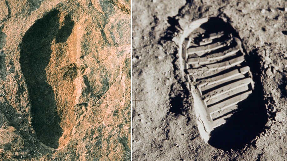 One Small Step For Man... : Krulwich Wonders... : NPR