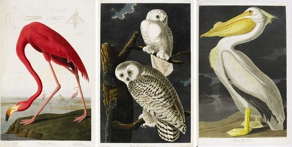 Most Expensive Book Ever To Go On Sale : The Two-Way : NPR