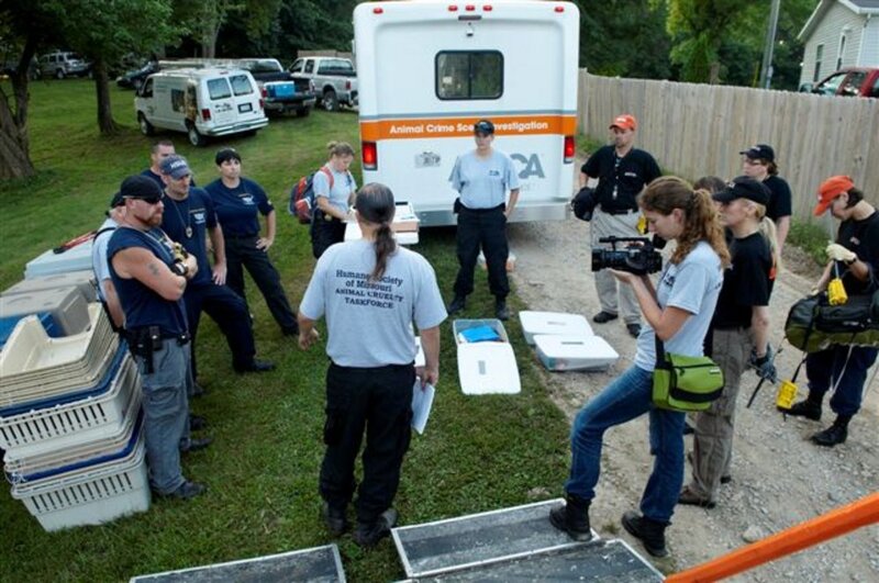 DNA Is New Weapon In Fight Against Dogfighting : NPR