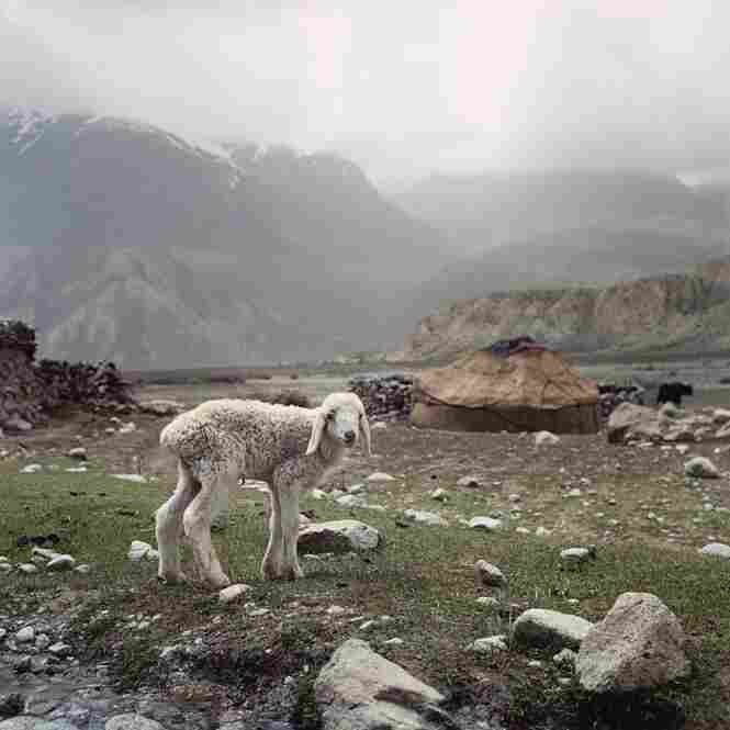 Photos From Afghanistan: Natural Beauty, Not War : The Picture Show : NPR