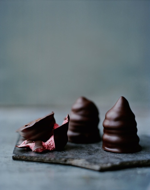 Foraging For Food: Recipes From 'The World's Best Restaurant' : The ...