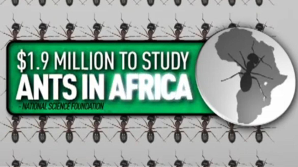 'Cookie-Cutter' Ads Dominate, Coast-To-Coast : NPR