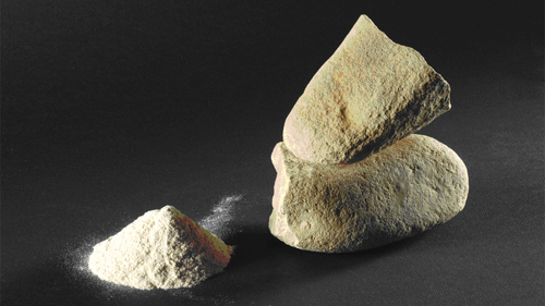 Starchy Wild Plants Added Carbs To Ancient Man's Meaty Diet : Shots ...