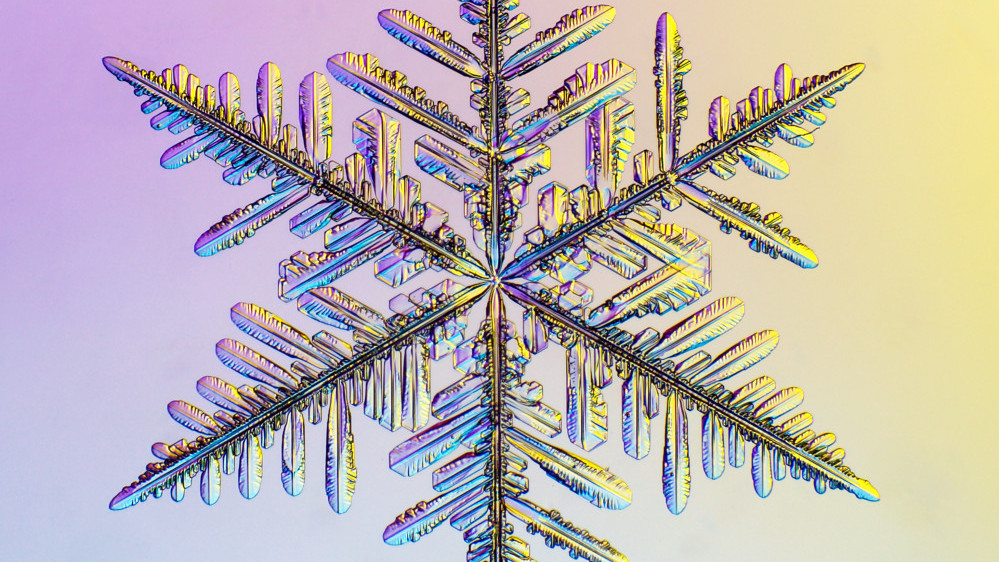 Snowflake Shapes Shine Under The Microscope : NPR
