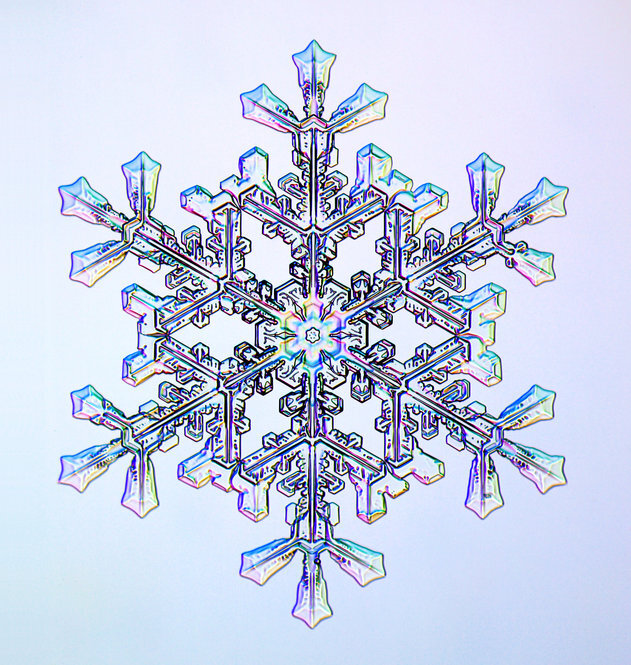 Snowflake Shapes Shine Under The Microscope : NPR