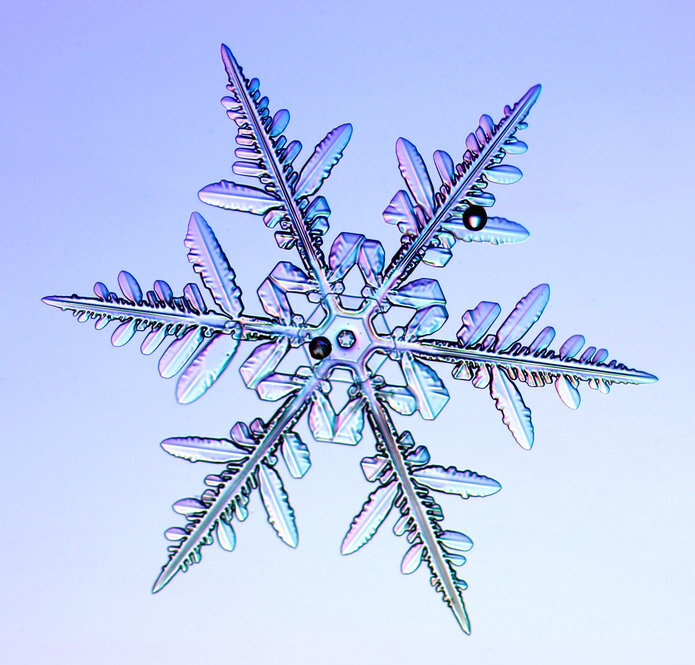 Snowflake Shapes Shine Under The Microscope : NPR