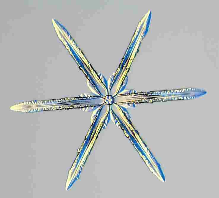 Snowflake Shapes Shine Under The Microscope : NPR