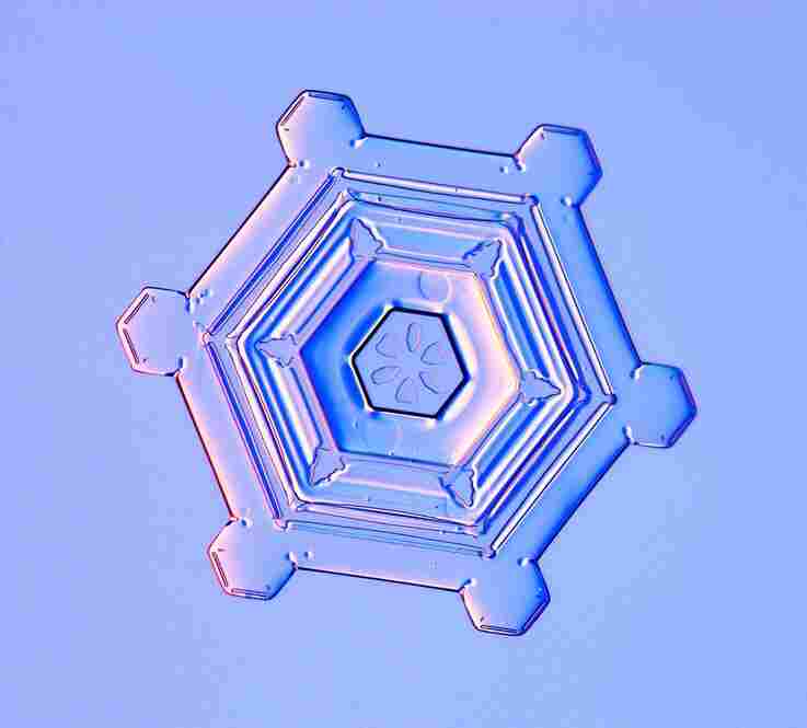Snowflake Shapes Shine Under The Microscope : NPR