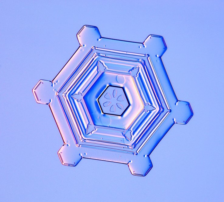 Snowflake Shapes Shine Under The Microscope : NPR