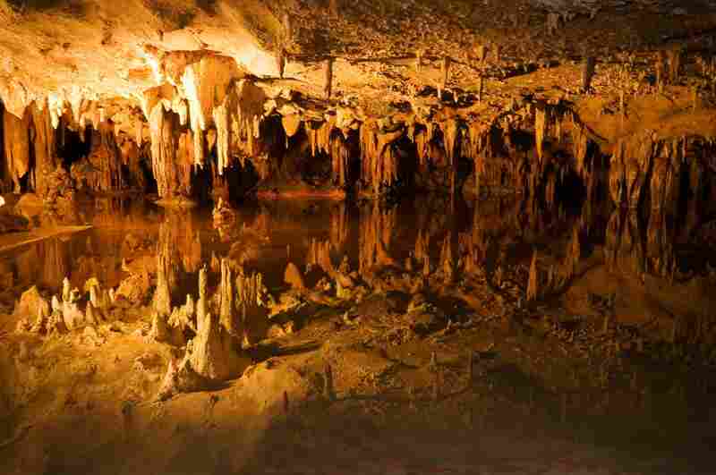 My Grandson The Rock : Krulwich Wonders... : NPR