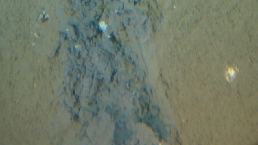 Deep-Water Dive Reveals Spilled Oil On Gulf Floor : NPR