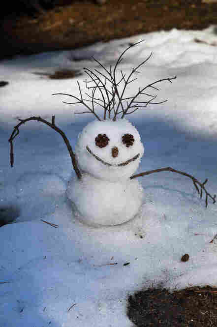 Snowman Kit: One Part Snow, Nine Parts Imagination : The Picture Show : NPR