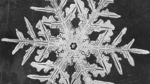 Earliest Snowflake Photos From 1885 : The Picture Show : NPR
