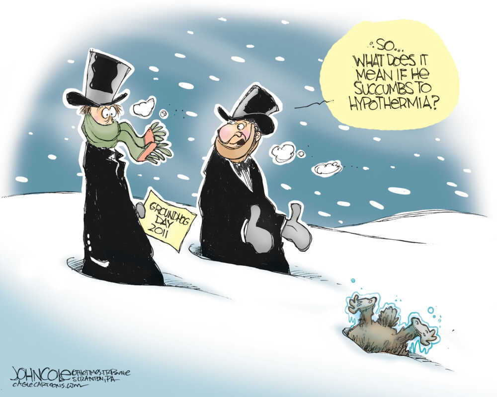 Double Take 'Toons: Winter Of Our Discontent : NPR