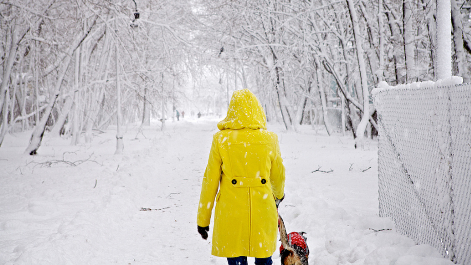 Your Photos: The Snowstorm : The Picture Show : NPR