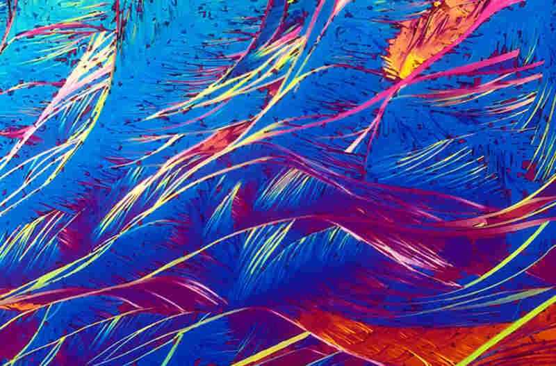 Your Favorite Cocktail Under A Microscope : The Picture Show : NPR