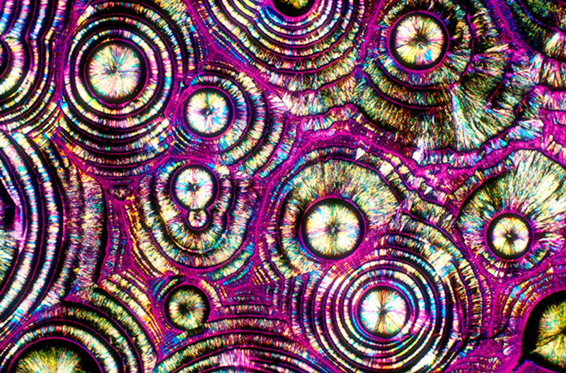 Your Favorite Cocktail Under A Microscope : The Picture Show : NPR