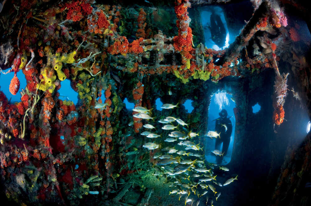 The Secret To Successful Fishing: Throw A Fridge In The Water : The ...