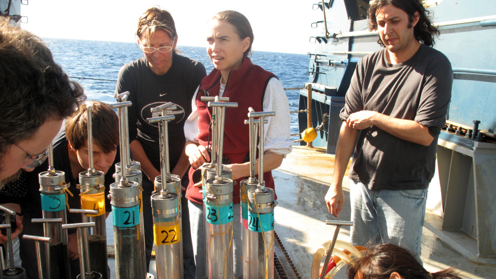 'Fog Of Research' Clouds Study Of Oil's Effects In Gulf : NPR