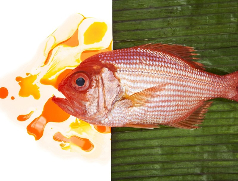 Science Nerds Meet Foodies In 'Modernist Cuisine' : NPR