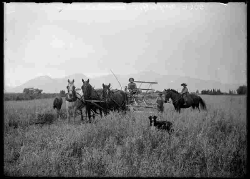 Frontier Utah As Seen By Mormon Bishop, Documentary Photographer : The ...