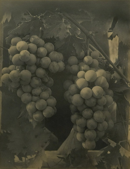 Food Photography Is Nothing New : The Picture Show : NPR