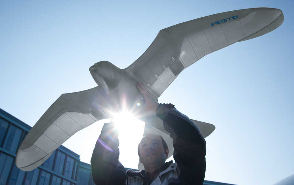 It Flies! Da Vinci's Dream Comes True : Krulwich Wonders... : NPR