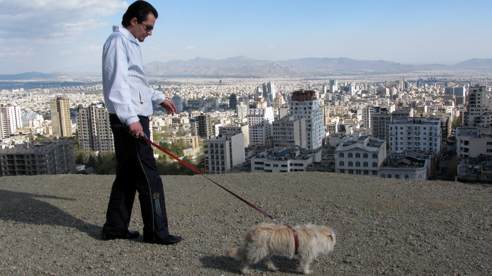 Iranian Lawmakers Propose Ban On Owning Pet Dogs : The Two-Way : NPR