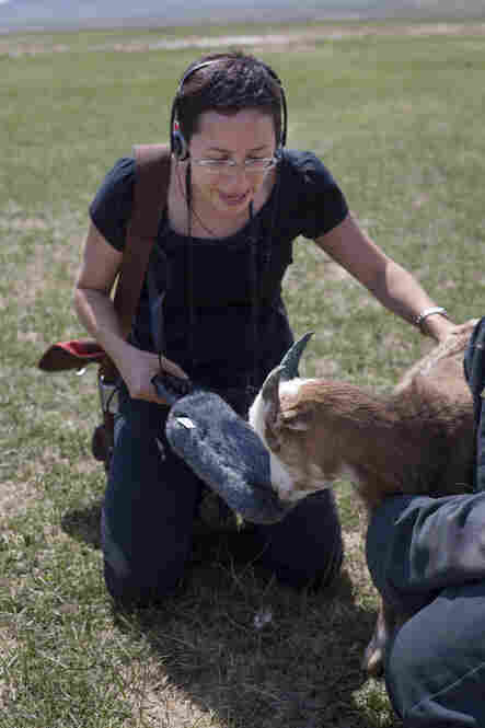 Happy Birthday NPR And ATC! : NPR Extra : NPR