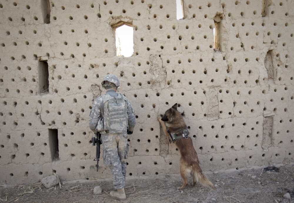 Foreign Policy: The Dogs Of War : NPR