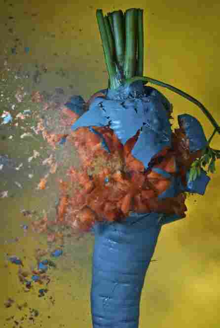 Lunch-Break Photos: 'Potato Moment' And Other Exploding Stuff (Why Not ...