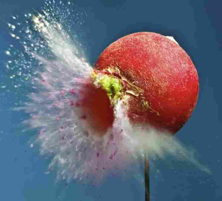 Lunch-Break Photos: 'Potato Moment' And Other Exploding Stuff (Why Not ...