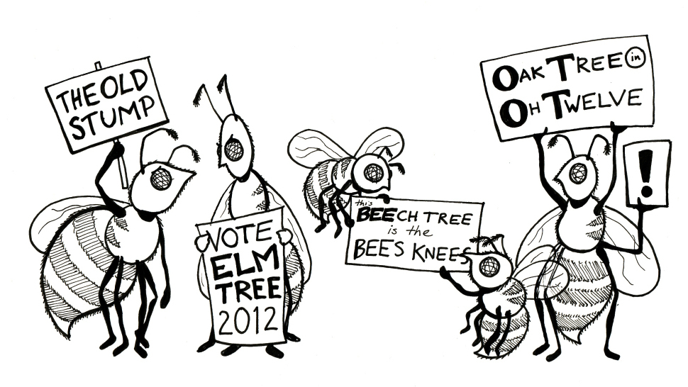 Nature's Secret: Why Honey Bees Are Better Politicians Than Humans ...