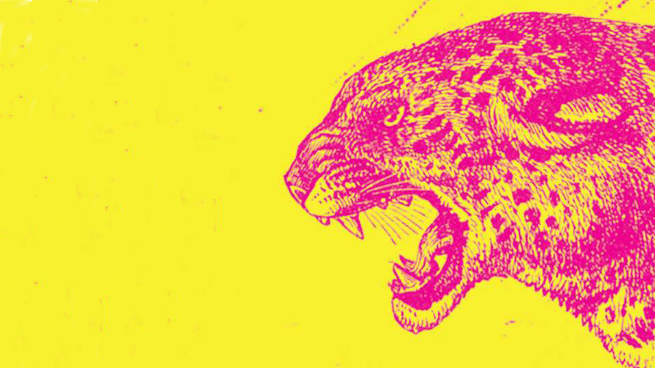 A Psychopath Walks Into A Room. Can You Tell? : NPR