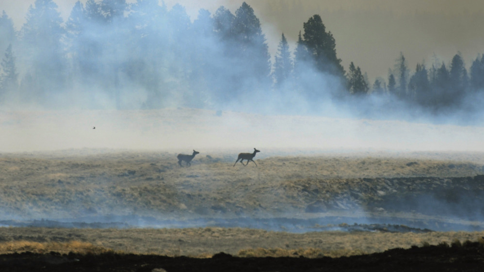 Wildfire Season Already Worse Than Last Year : The Two-Way : NPR