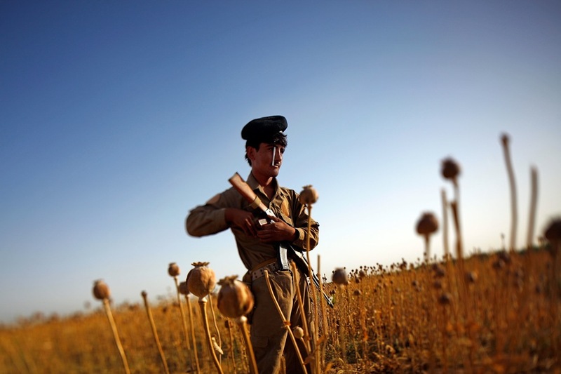 Marines Team Up With Afghan 'Neighborhood Watch' : NPR