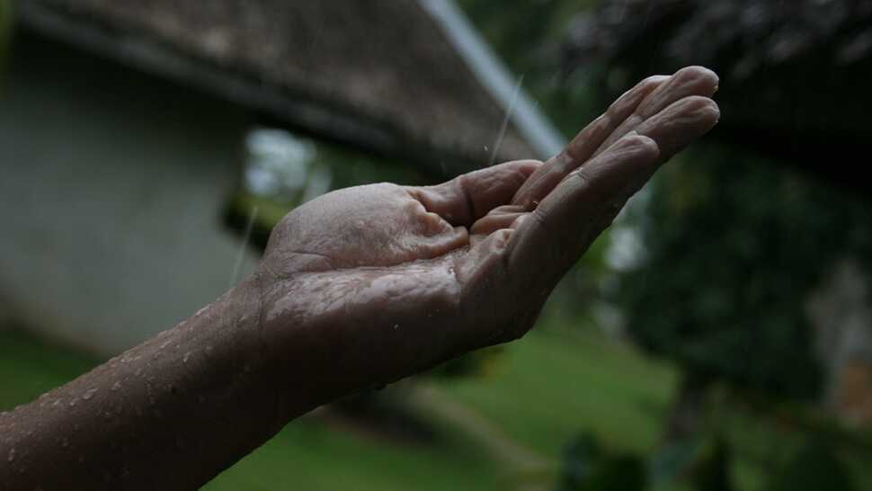 Why Do Fingers Wrinkle When They Get Wet? : The Two-Way : NPR Why Do Fingers Wrinkle When They Get Wet? : The Two-Way : NPR