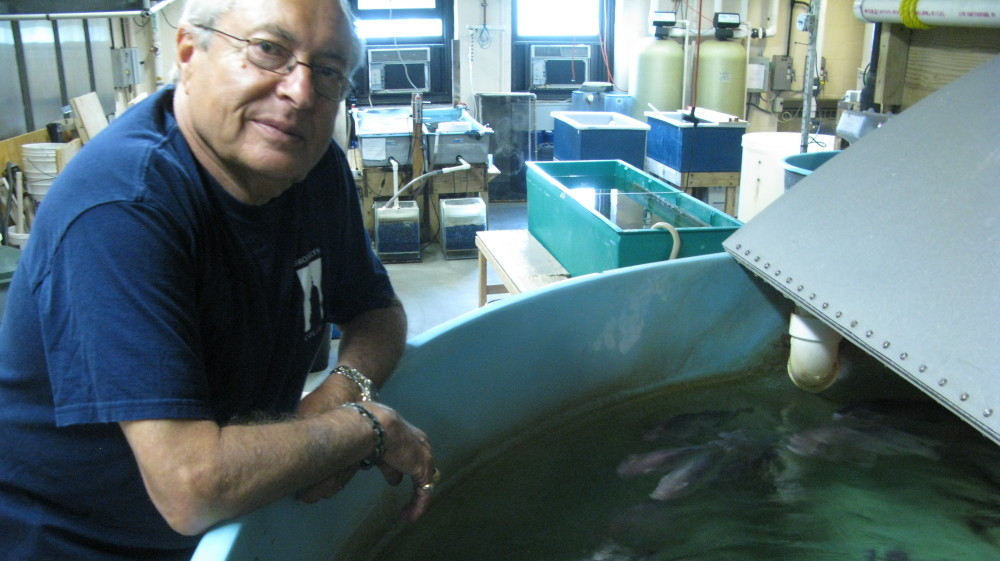 Urban Fish Farming: Wave Of The Future? : NPR