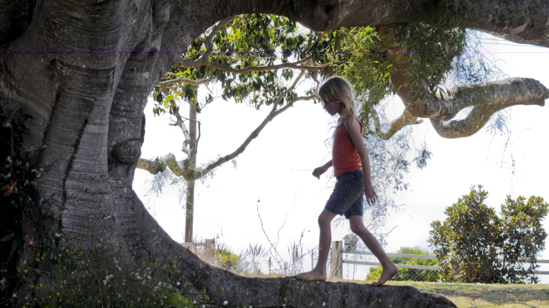 Movie Review - A Family Grieves Under The Shadow Of 'The Tree' : NPR