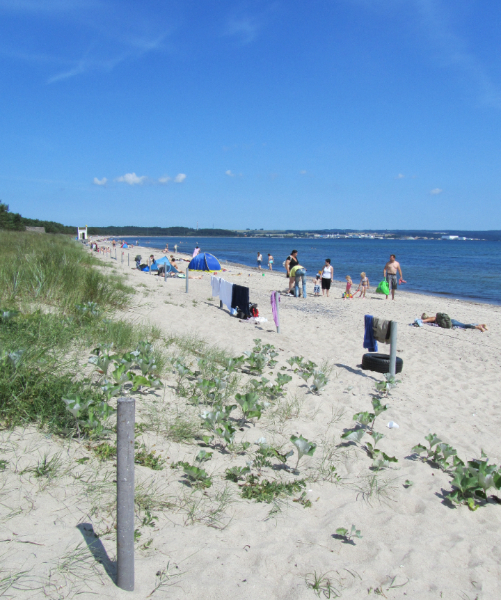 The Colossus Of Prora: Sandy Beach Vacation Or History Lesson? : NPR FM ...