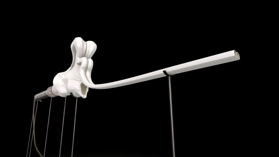 Ever Wonder What A Woolly Mammoth Sounds Like? : NPR