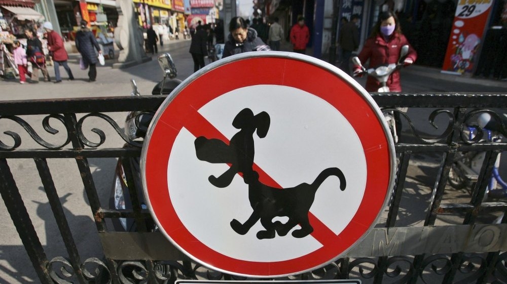Chinese City Bans Residents From Owning Dogs : The Two-Way : NPR