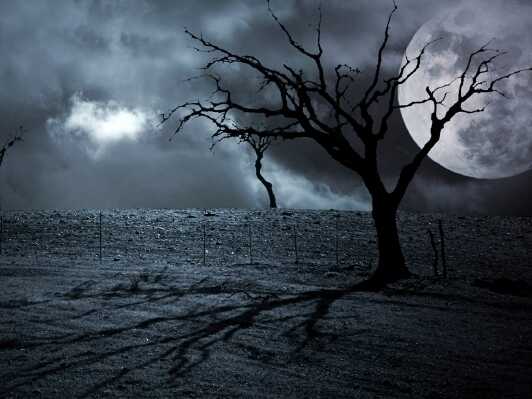 Three Tales Of The Ghostly, Ghastly And Ghoulish : NPR